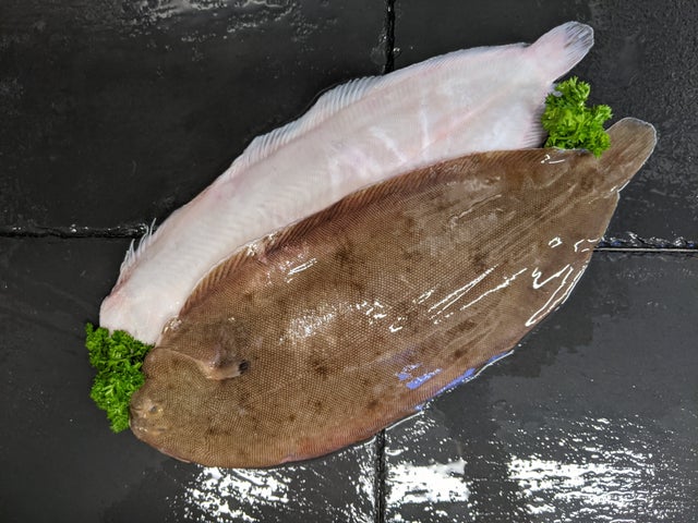 Fresh Fish Delivered Online Shop | RX Fisheries - Fresh Fish Delivery ...