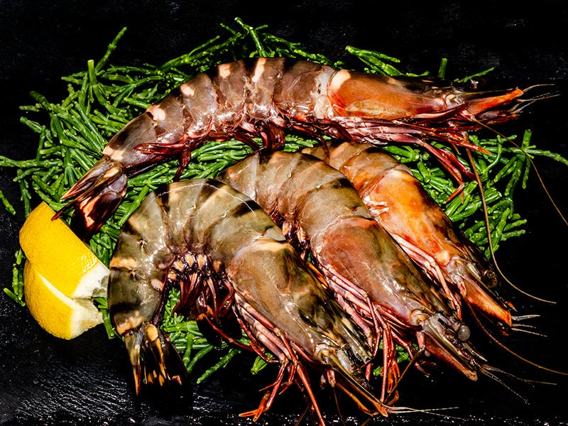 Luxury Extra Large Jumbo Raw Prawns | RX Fisheries - Fresh Fish ...