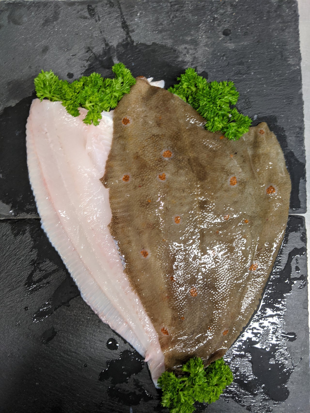 Fresh Fish Delivered Online Shop | RX Fisheries - Fresh Fish Delivery ...