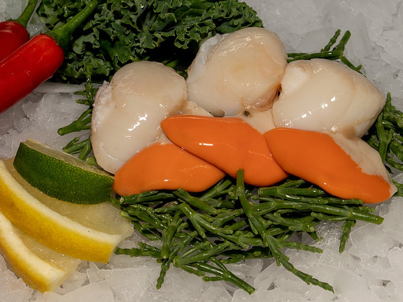 Fresh Fish Delivered Online Shop | RX Fisheries - Fresh Fish Delivery ...