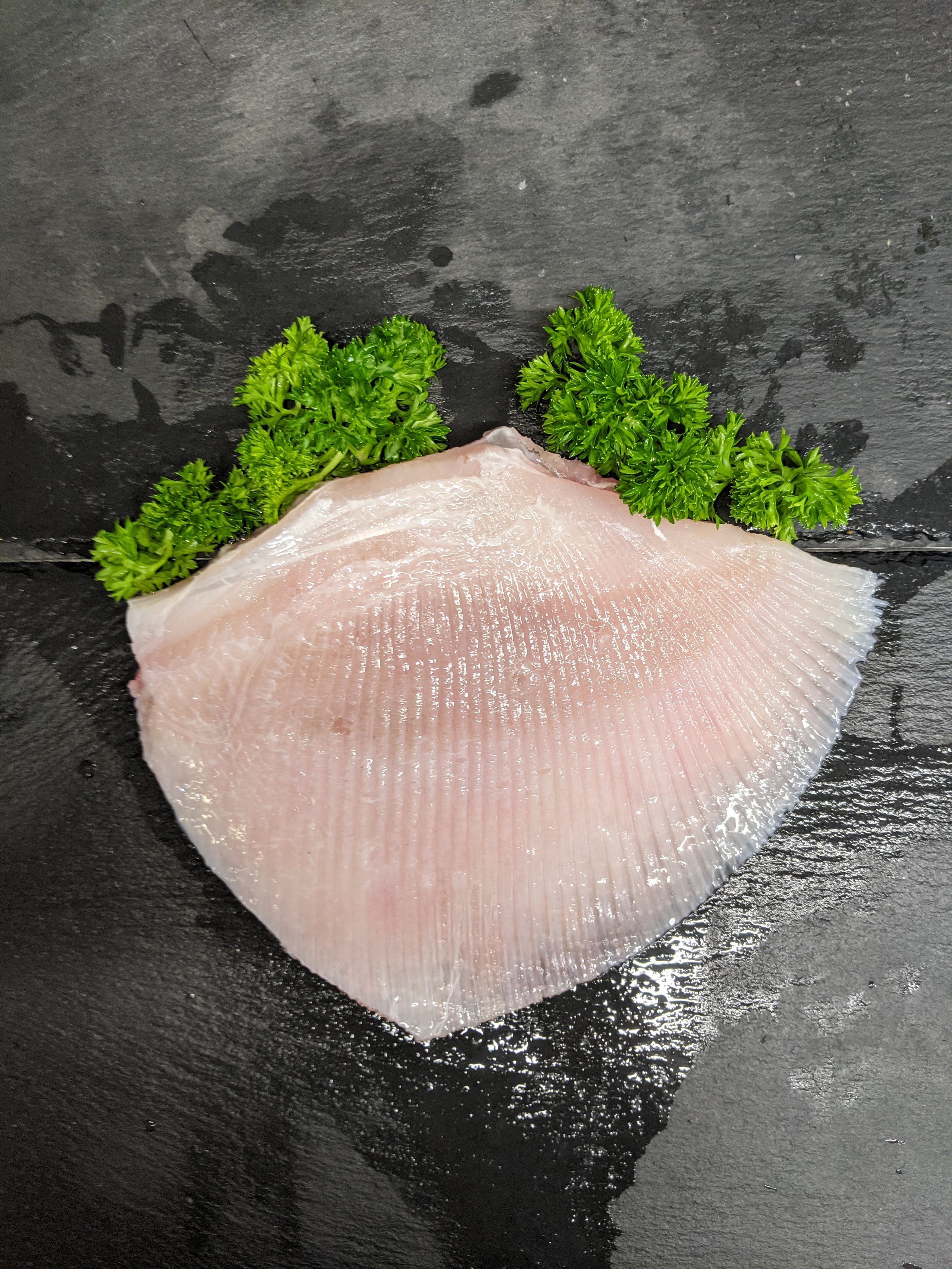 Fresh Skate Wing: 500g | RX Fisheries - Fresh Fish Delivery of Hastings UK