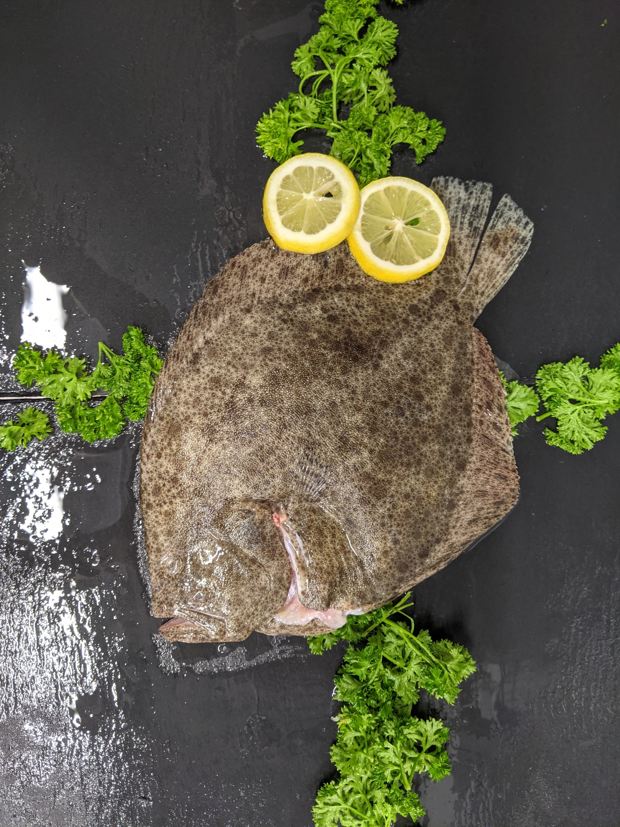 Fresh Fish Delivered Online Shop | RX Fisheries - Fresh Fish Delivery ...