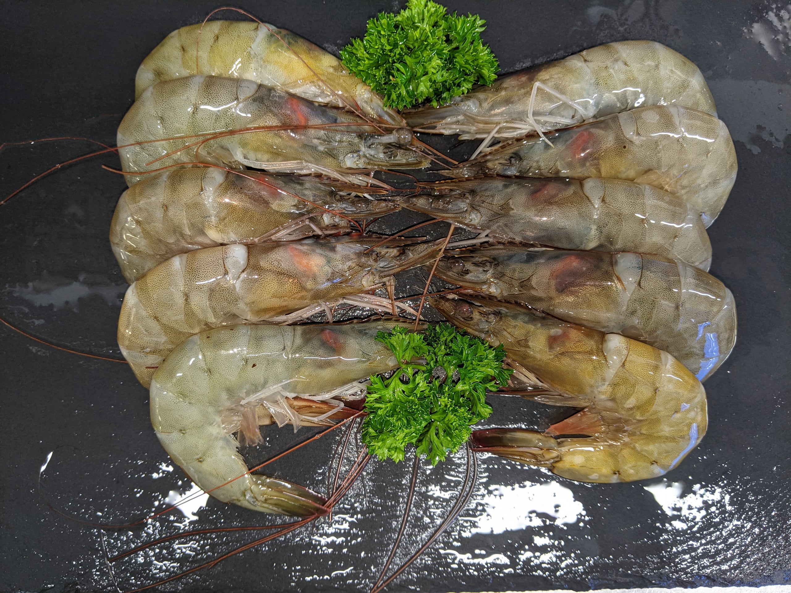 Raw King Prawns x10 | RX Fisheries - Fresh Fish Delivery of Hastings UK