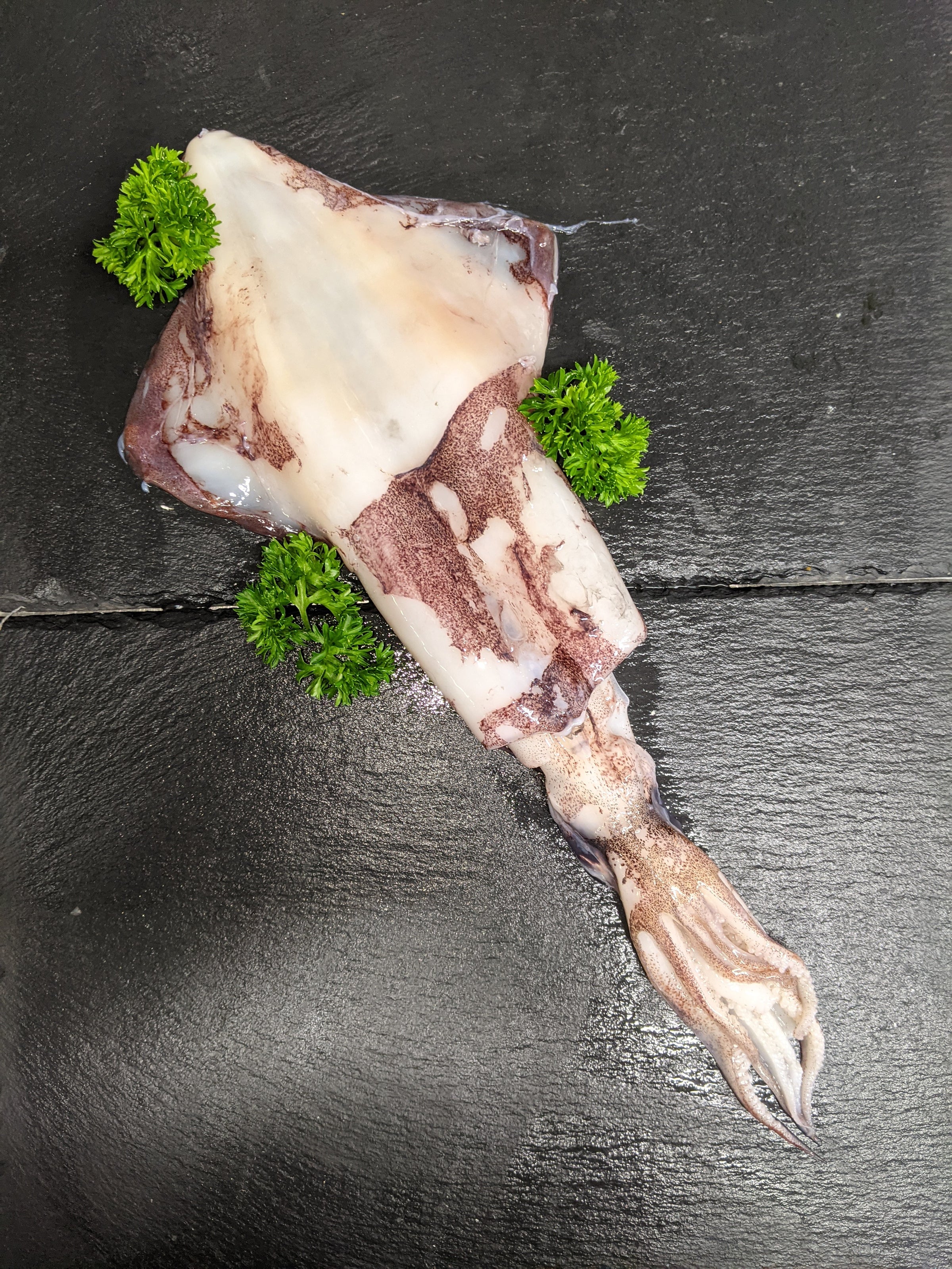 Fresh Fish Delivered Online Shop | RX Fisheries - Fresh Fish Delivery ...